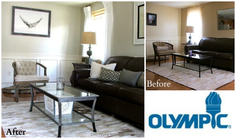 Olympic One Paint Review - DIO Home Improvements